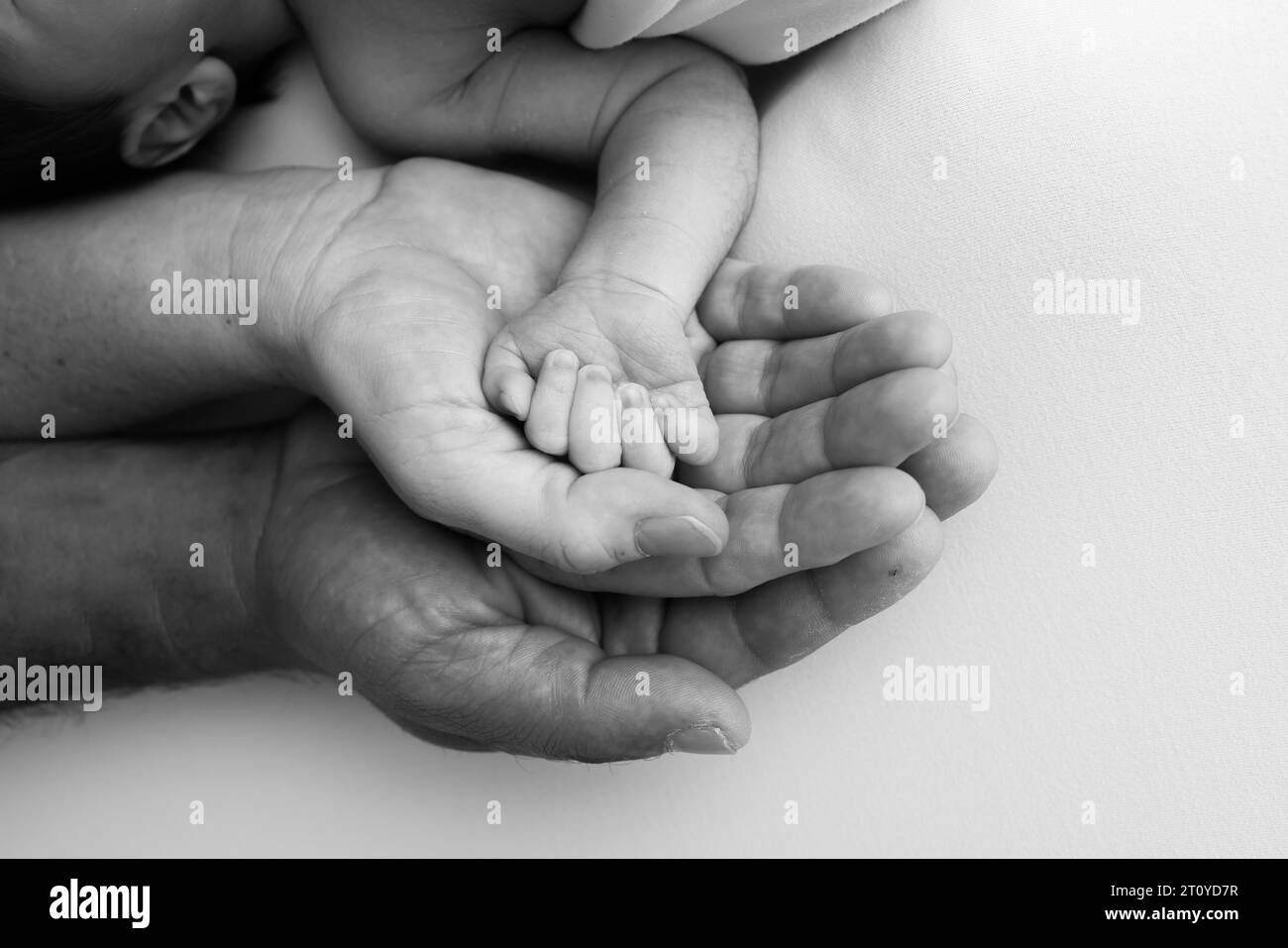 Three palms of a happy family. Small newborn hand with tiny fingers ...