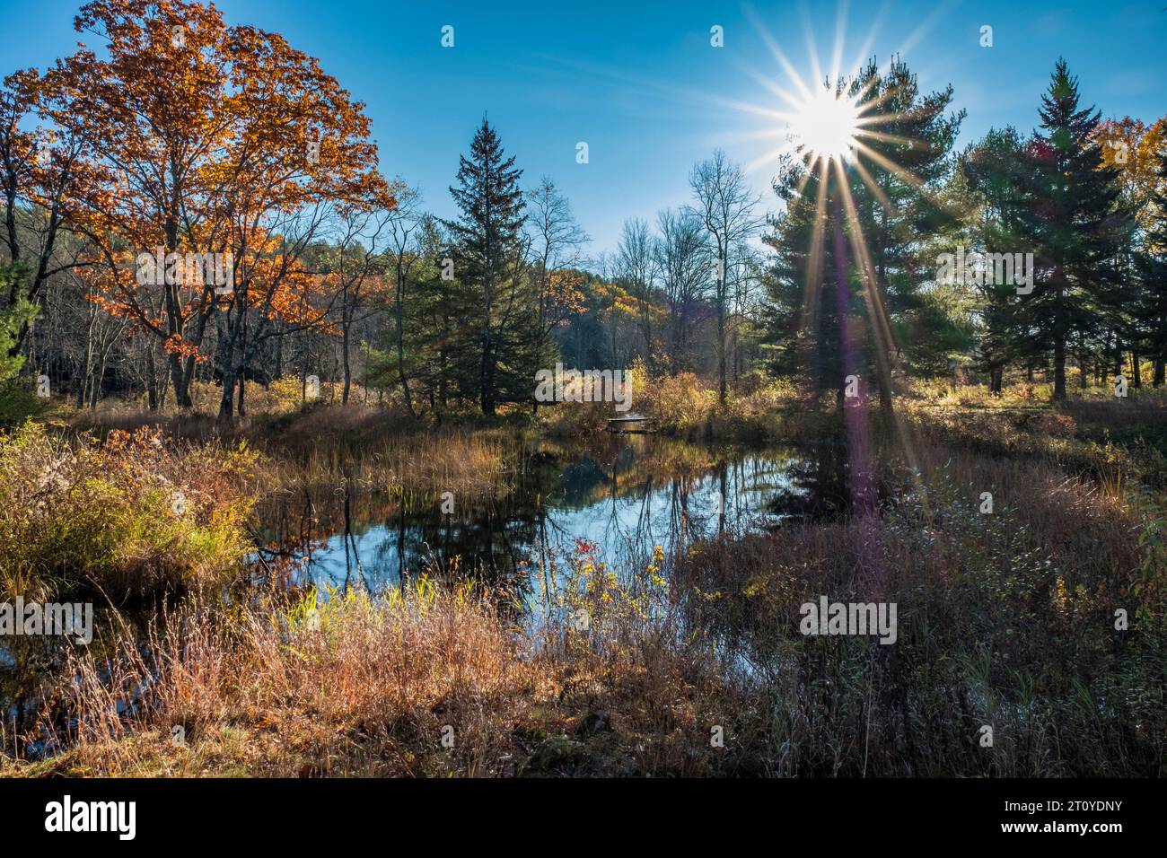 Birch Hill Dam area in Royalston, Massachusetts Stock Photo - Alamy