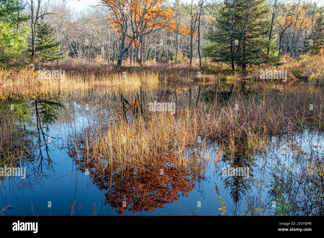 Birch Hill Dam area in Royalston, Massachusetts Stock Photo - Alamy