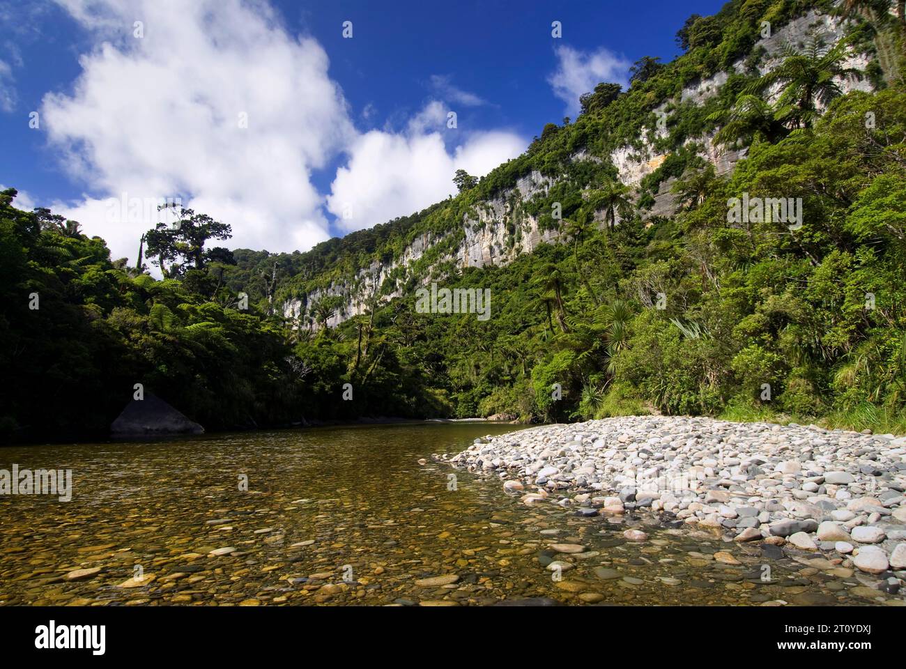 Pororari River, Punakaiki, on West Coast South Island New Zealand Stock ...