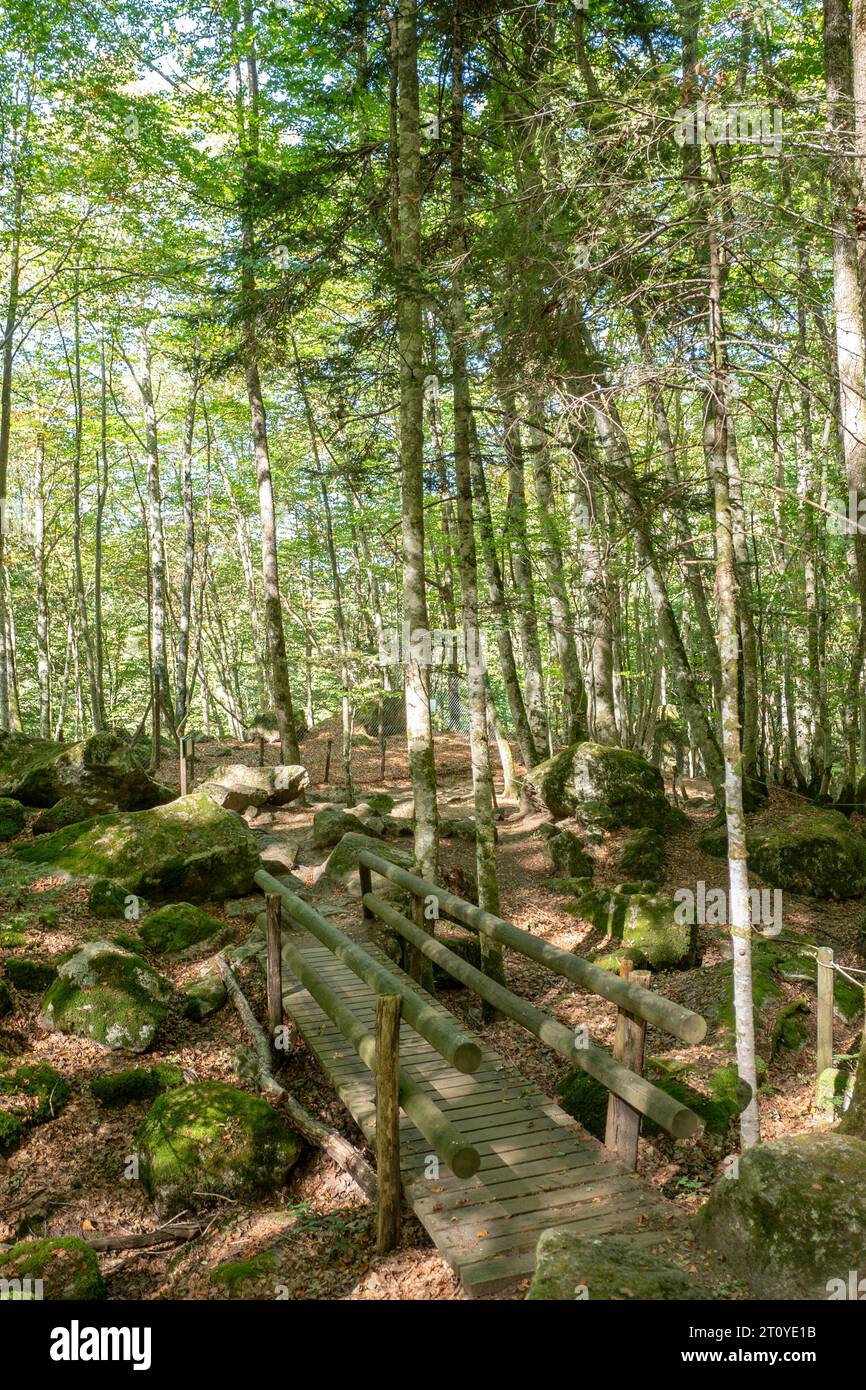 Forests in the Orlu National Wildlife Reserve, in Ariège, the Maison ...