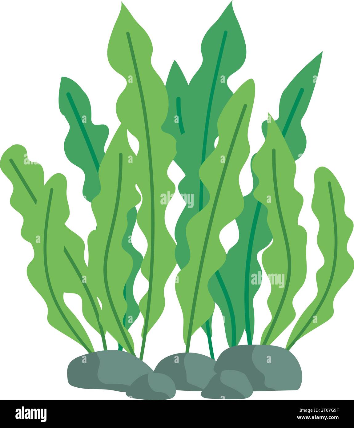 Algae growing Stock Vector Images - Alamy