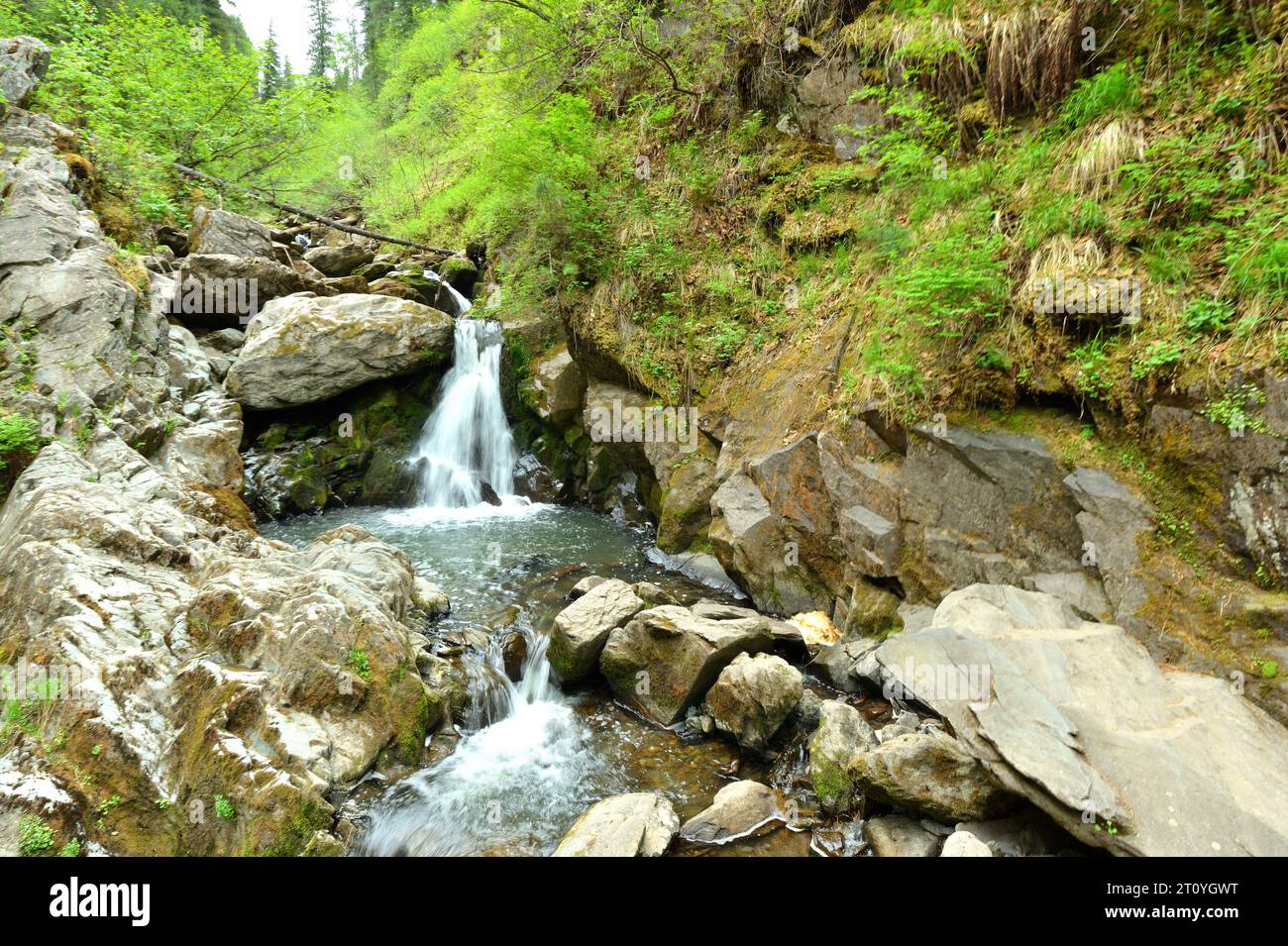 A cascade of small waterfalls in the rocky bed of a small river flowing ...
