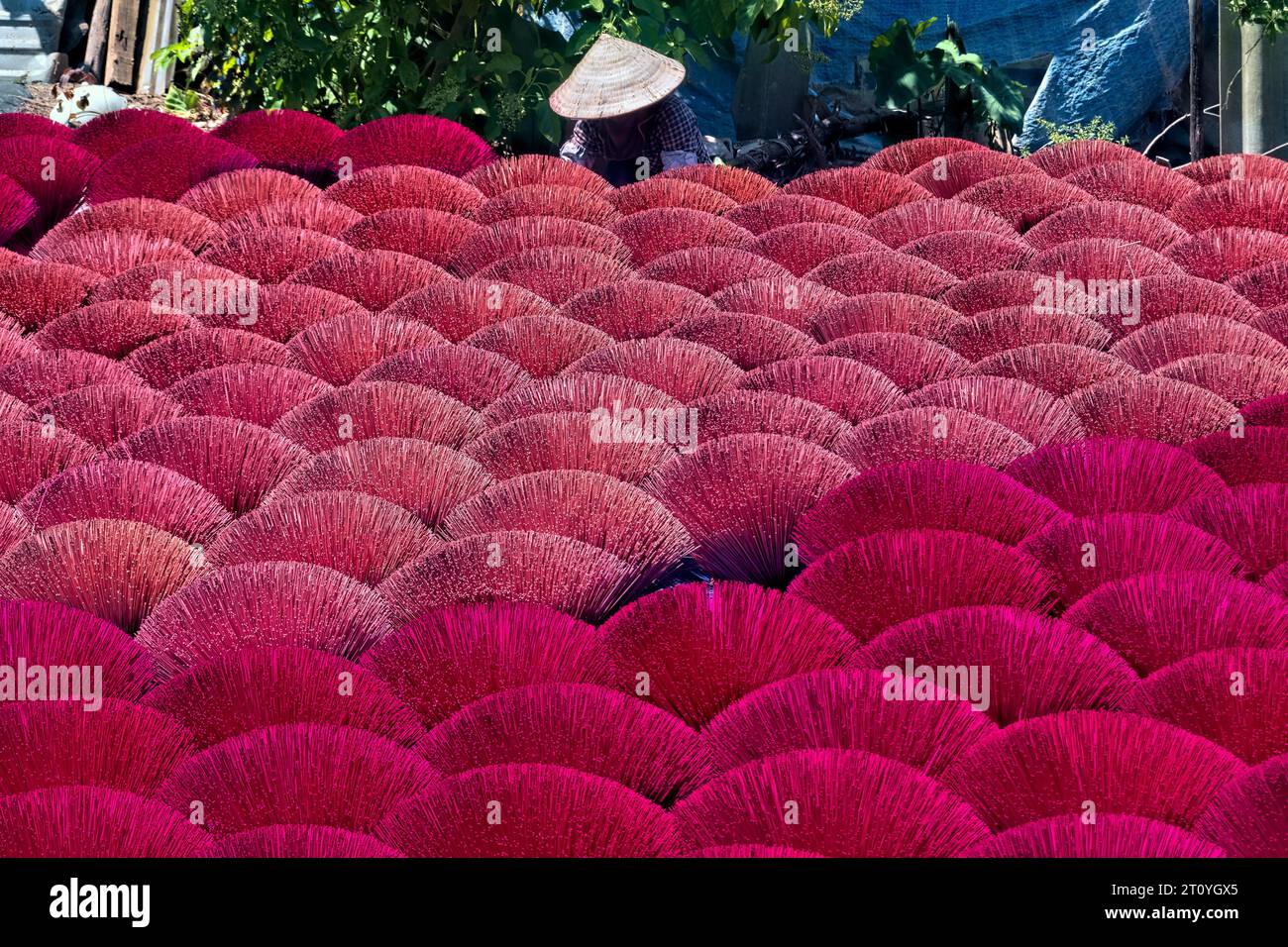 Worker drying incense in the Quang Phu Cau incense village, Hanoi ...