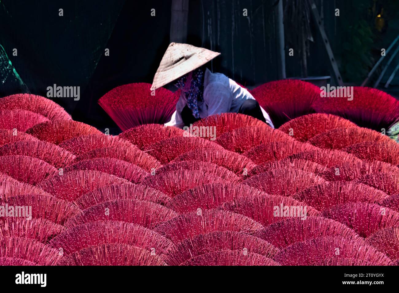 Worker drying incense in the Quang Phu Cau incense village, Hanoi ...