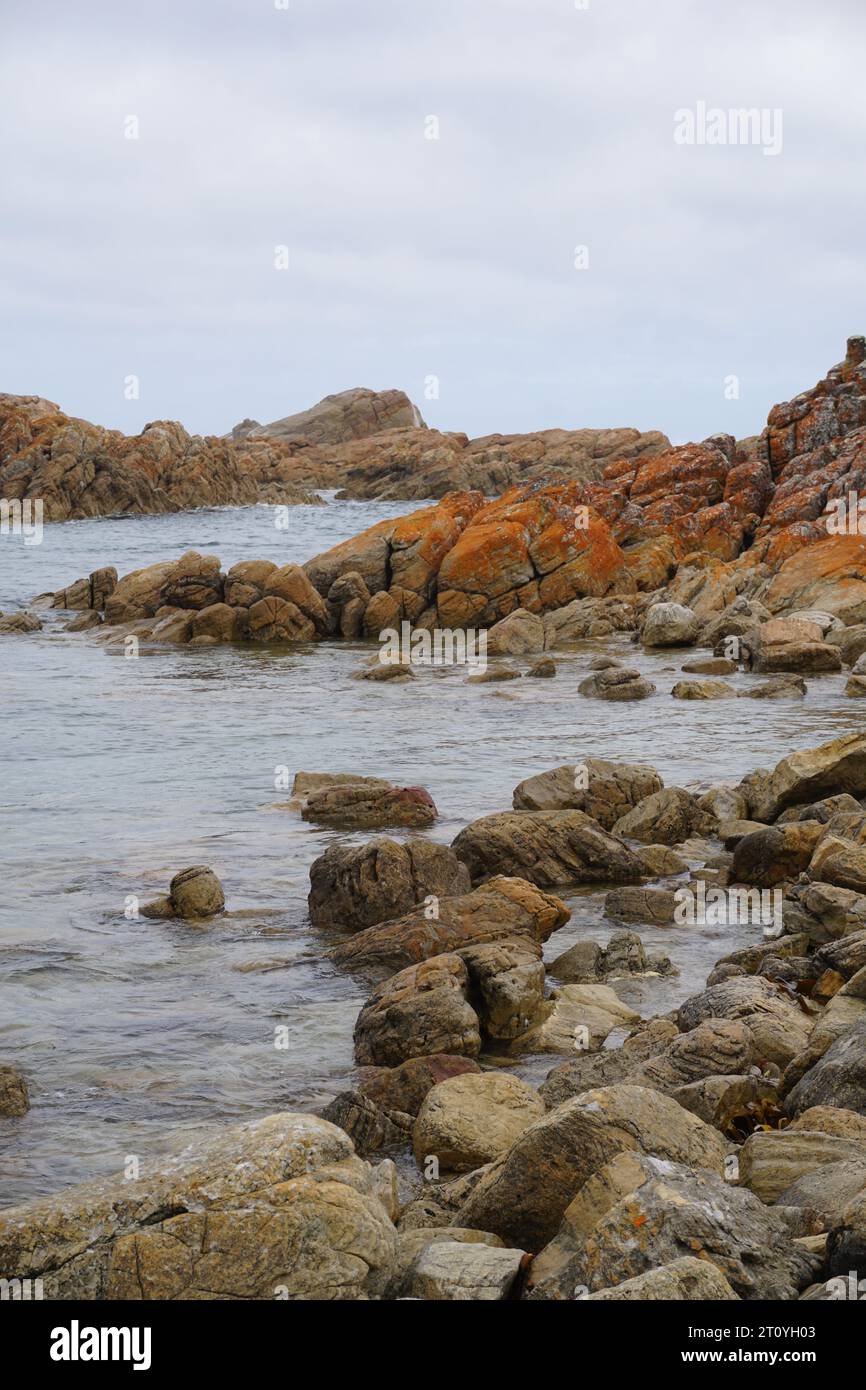 Dramatic red rocks at rugged and rough coastline along Tarkine Drive ...