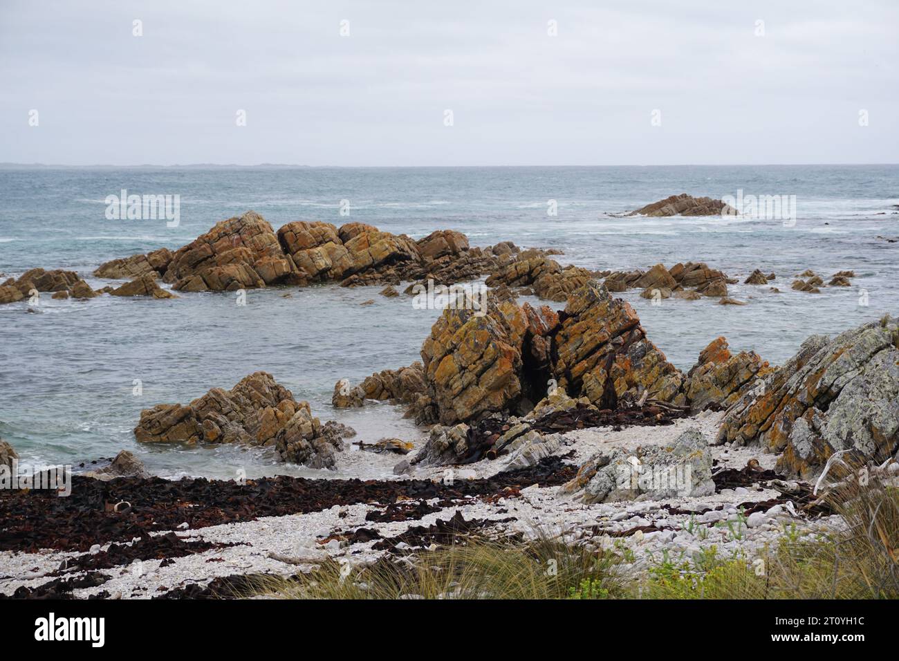 Dramatic red rocks at rugged and rough coastline along Tarkine Drive ...