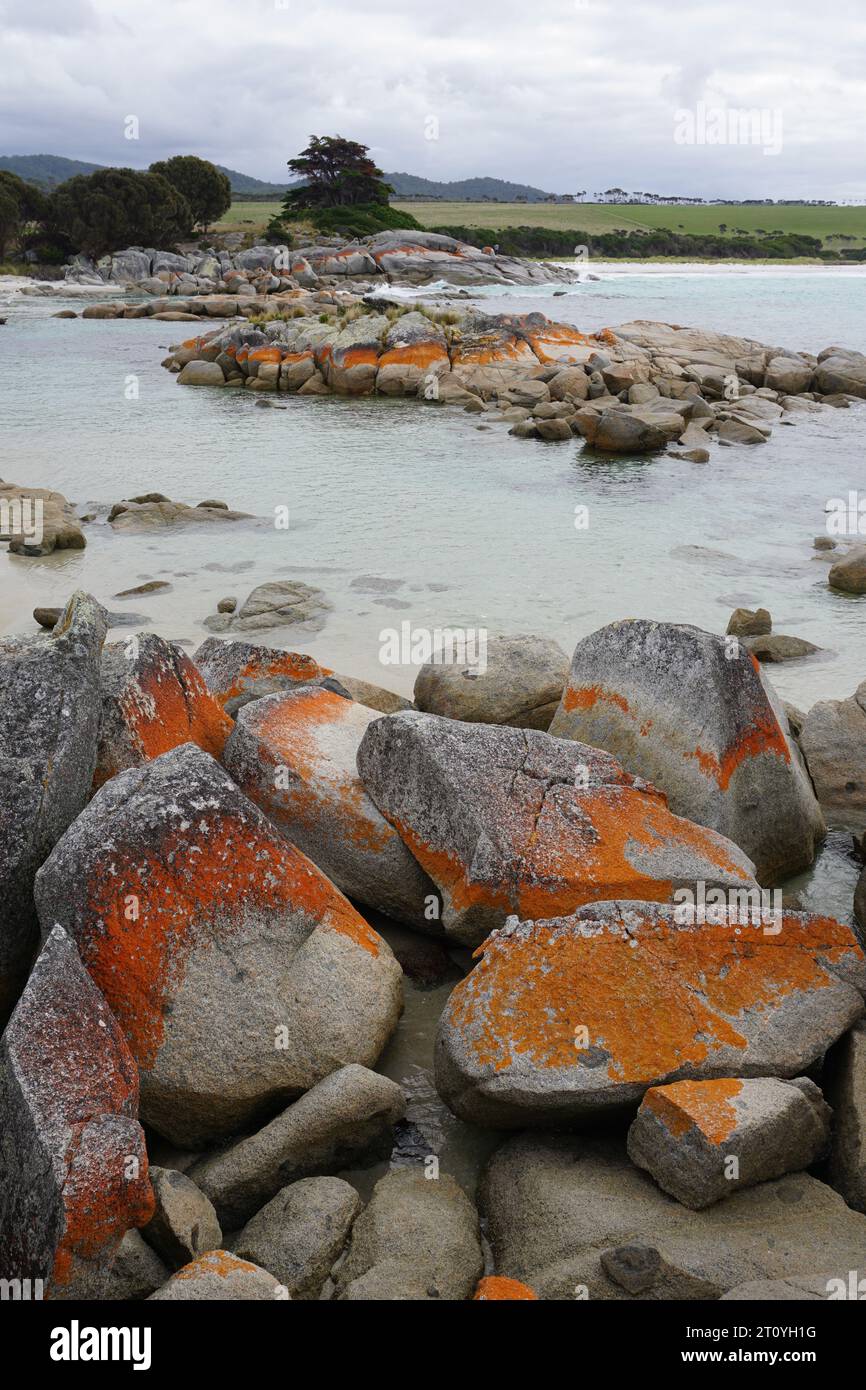 Rocks covered with orange and red algae on the coast at famous tourist ...