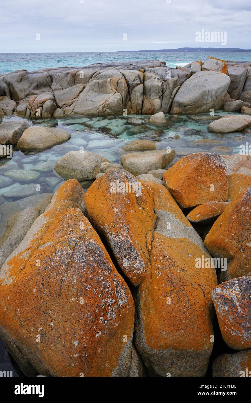 Rocks covered with orange and red algae on the coast at famous tourist ...