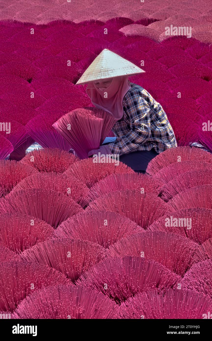 Worker drying incense in the Quang Phu Cau incense village, Hanoi ...