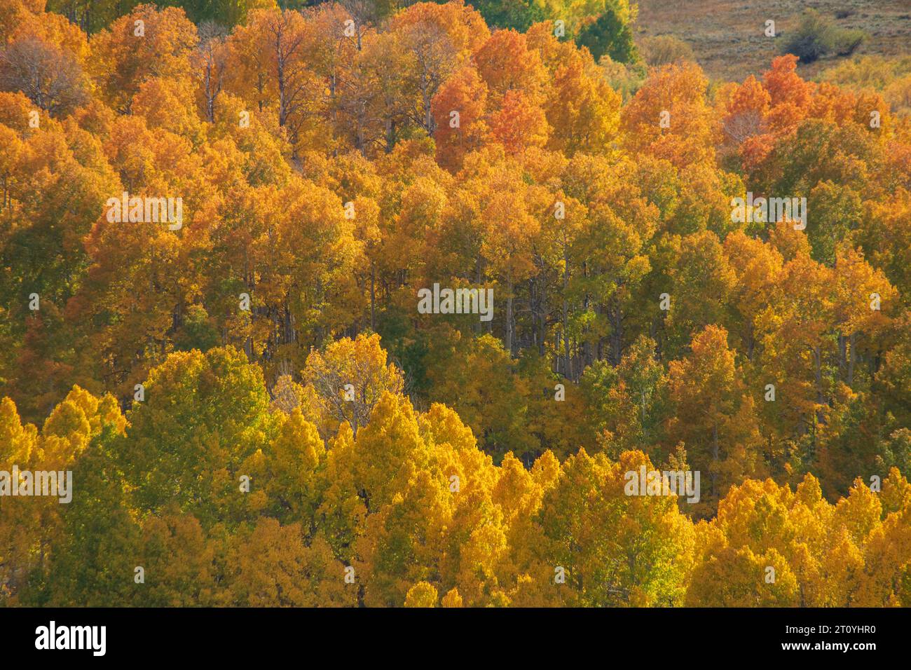 395 road trip hi-res stock photography and images - Alamy
