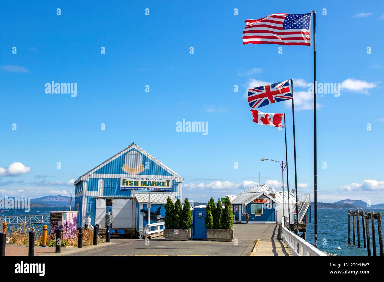 Sidney fish hi-res stock photography and images - Alamy