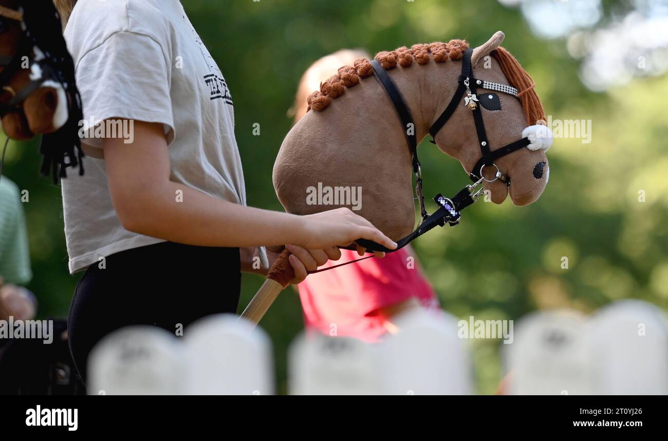 Hobby horse finland hi-res stock photography and images - Alamy