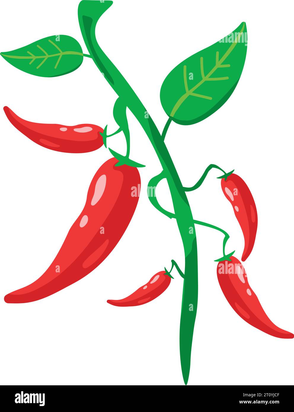 Chilli leaves Stock Vector Images - Alamy