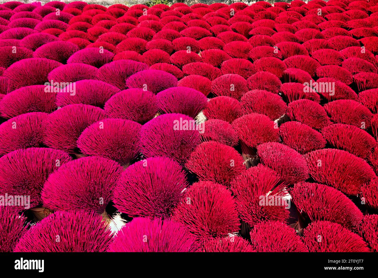 Incense drying in the Quang Phu Cau incense village, Hanoi, Vietnam ...