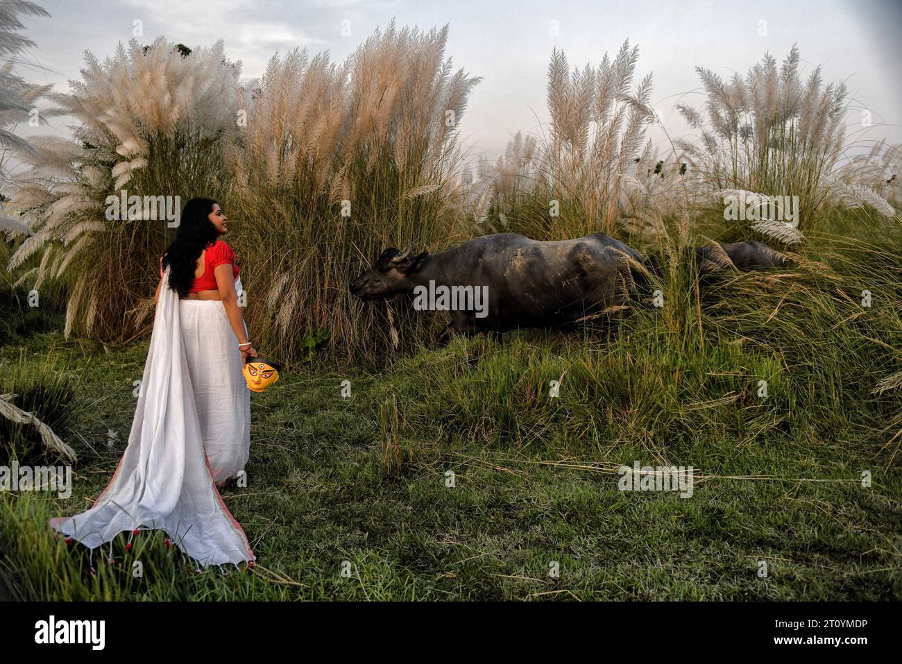 Fashion Model Rima Bhattacharya Poses While Wearing A Traditional Indian Saree And Holding A