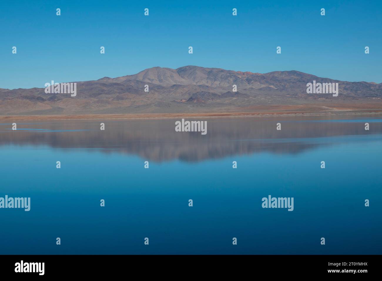 Walker Lake is a huge lake in Nevada, near the town of Hawthorne Stock ...