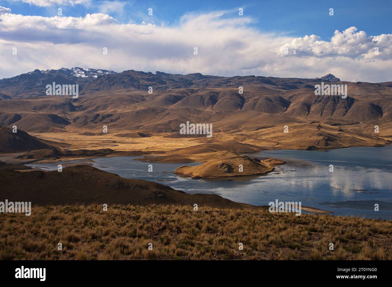Laguna Lagunillas - one of the highest lakes on the Andean plateau ...