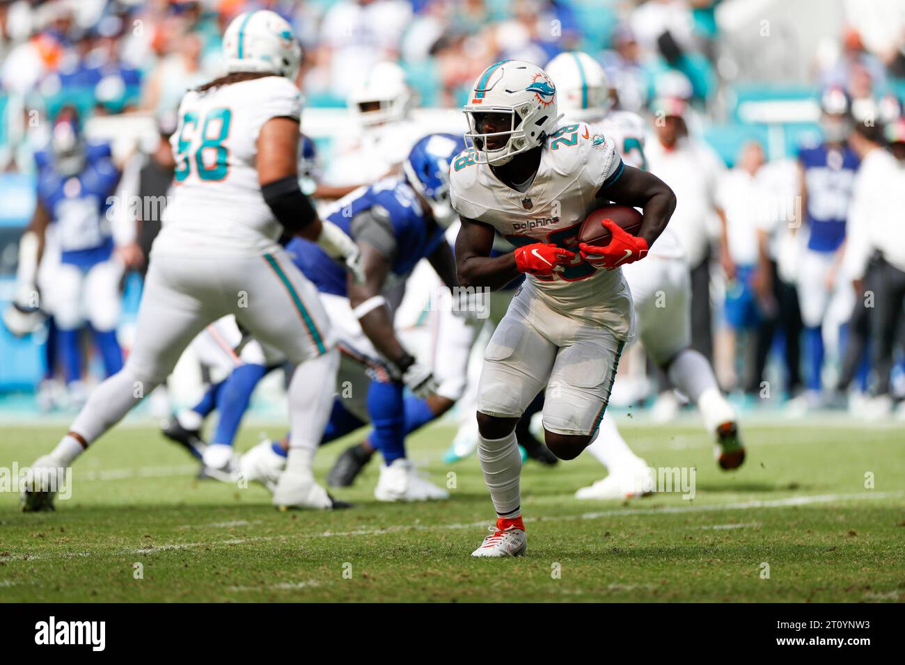 Achane 2023 dolphins hi-res stock photography and images - Alamy