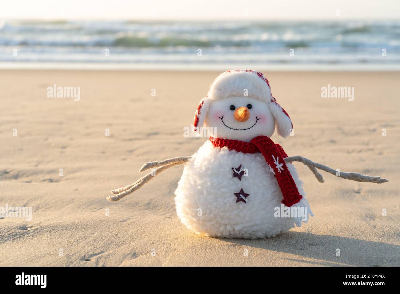 Snowman on the beach hi-res stock photography and images - Alamy