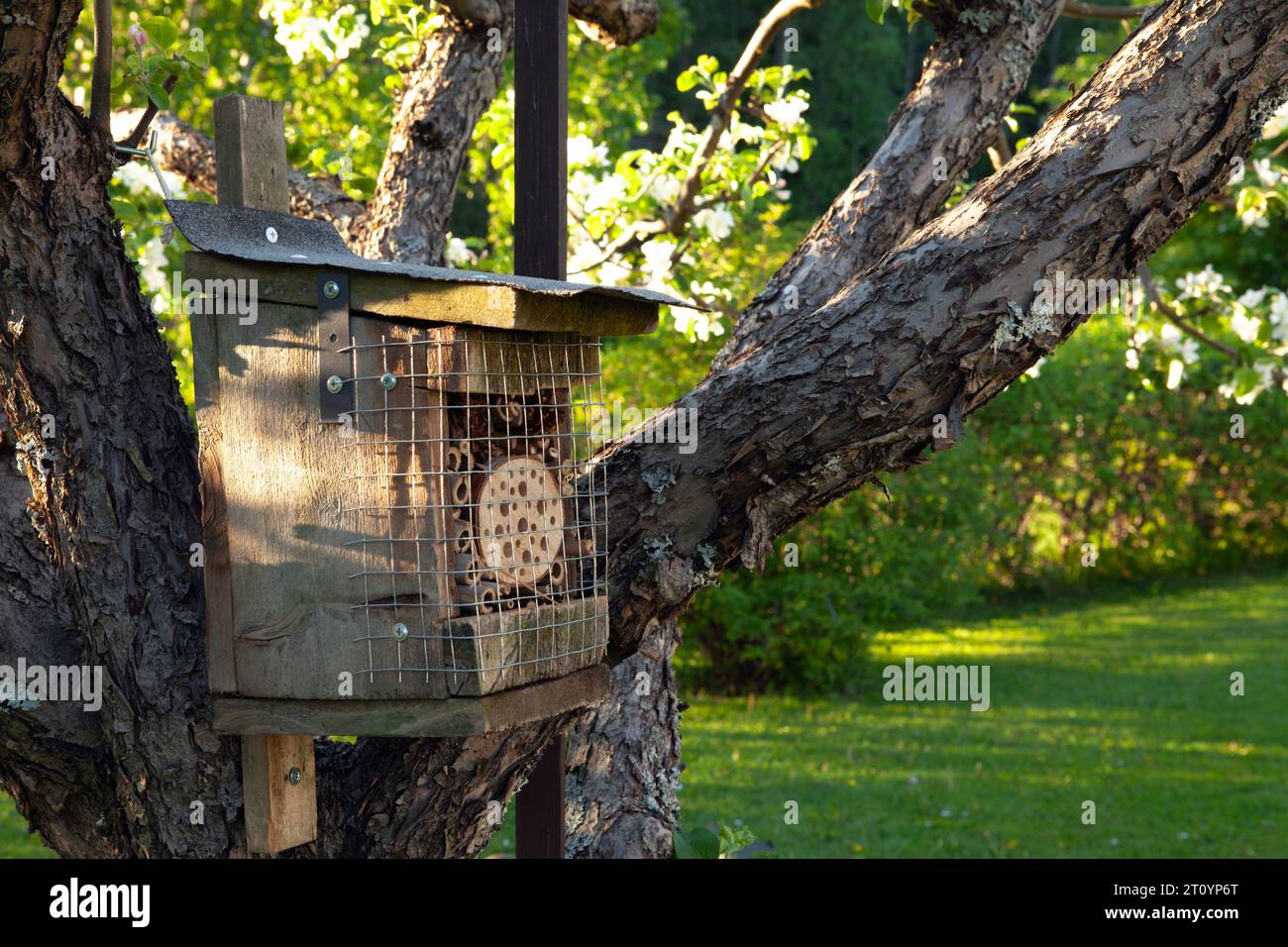 Wooden insect’s hotels, house in a garden. Apple trees in June Stock ...