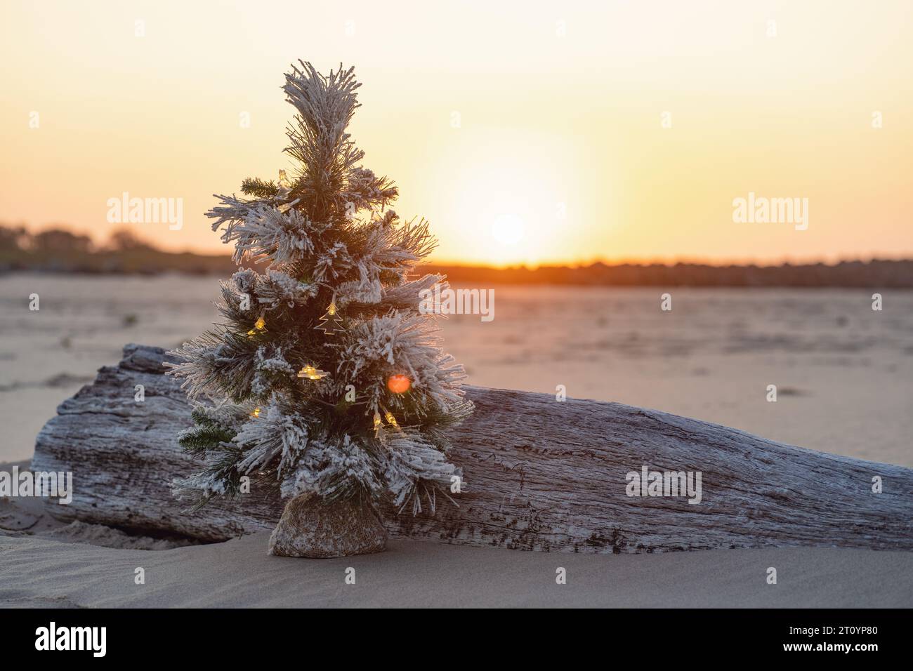 Christmas Tree on the Beach Stock Photo - Alamy