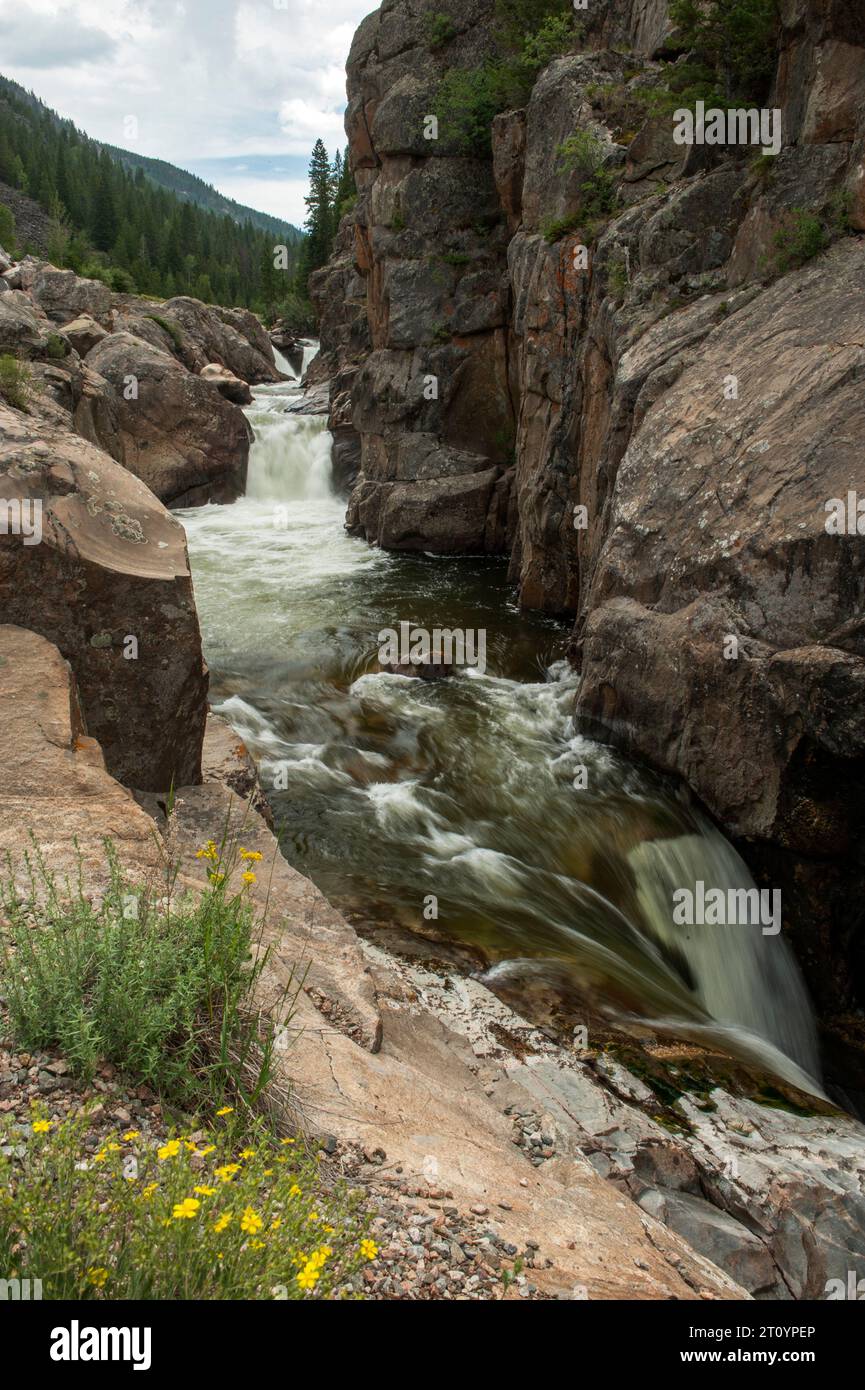 Poudre Falls, on Colorado's Cache la Poudre river Stock Photo - Alamy