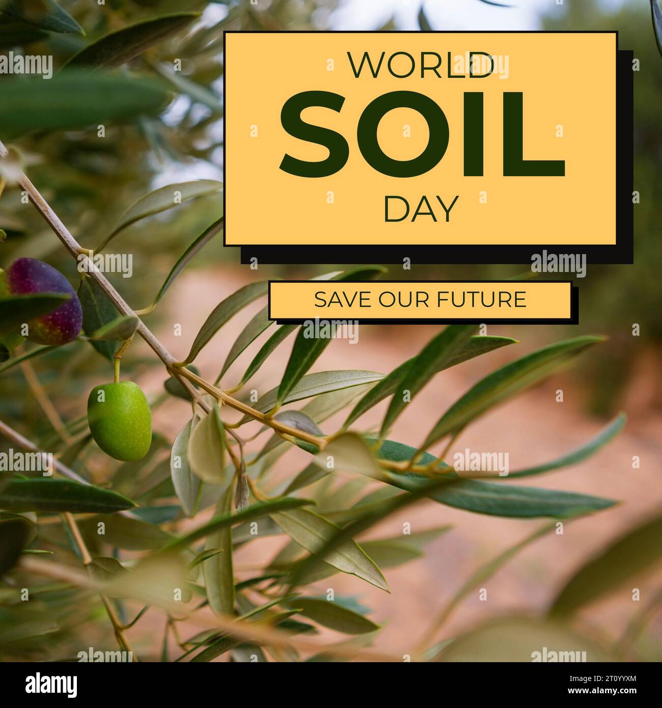 Composite of world soil day and save our future text over plants ...