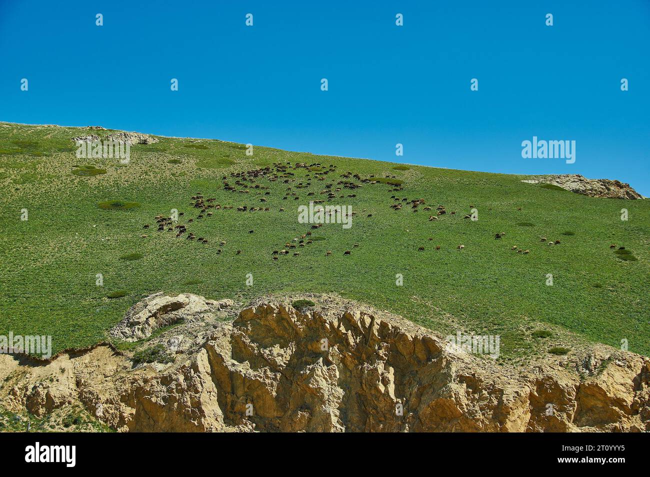Moldo-Ashuu pass district of Son-Kul Region in western Kyrgyzstan Stock ...