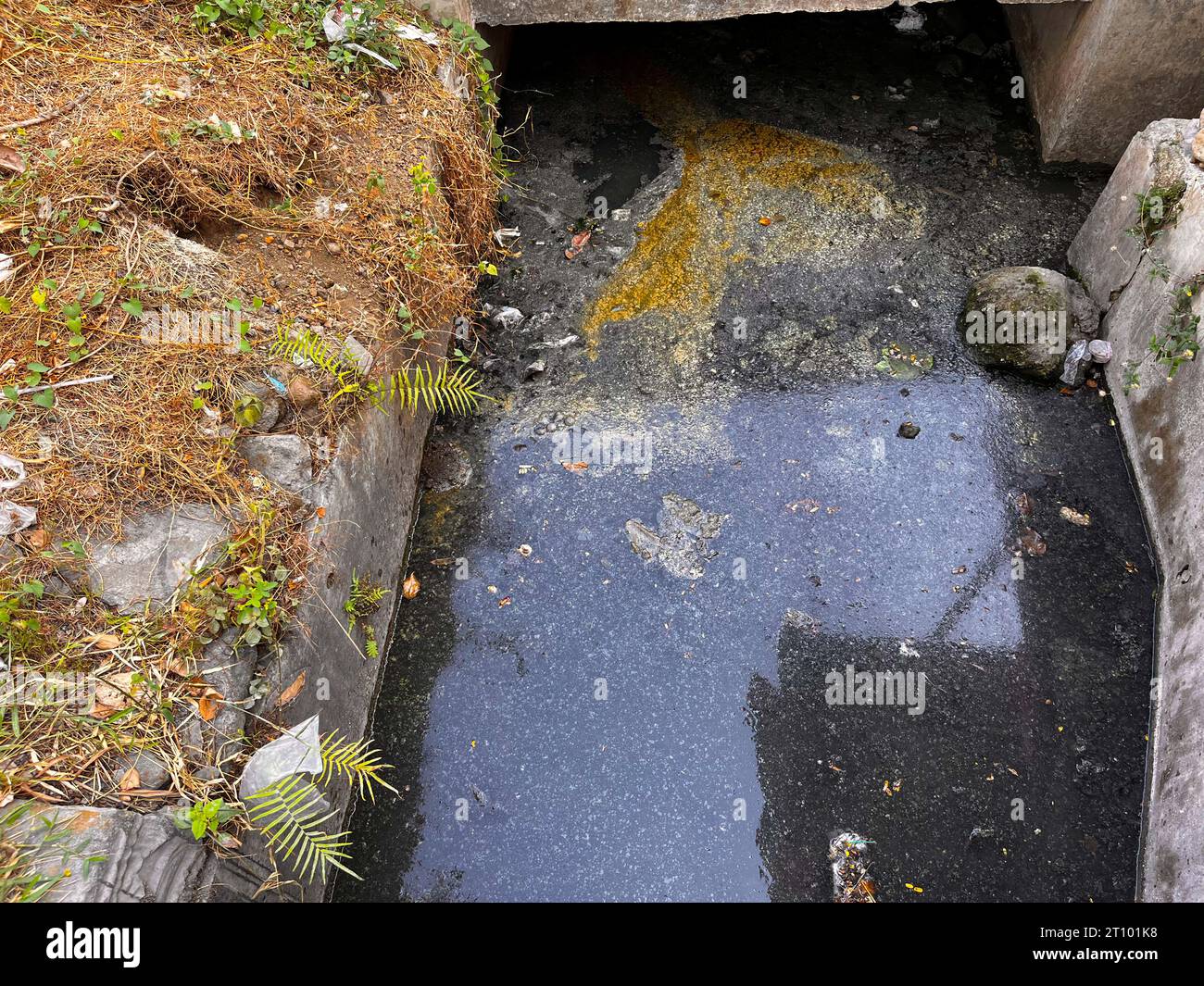 sewer. waste water flow to sewer with moss, bad water from city, water ...