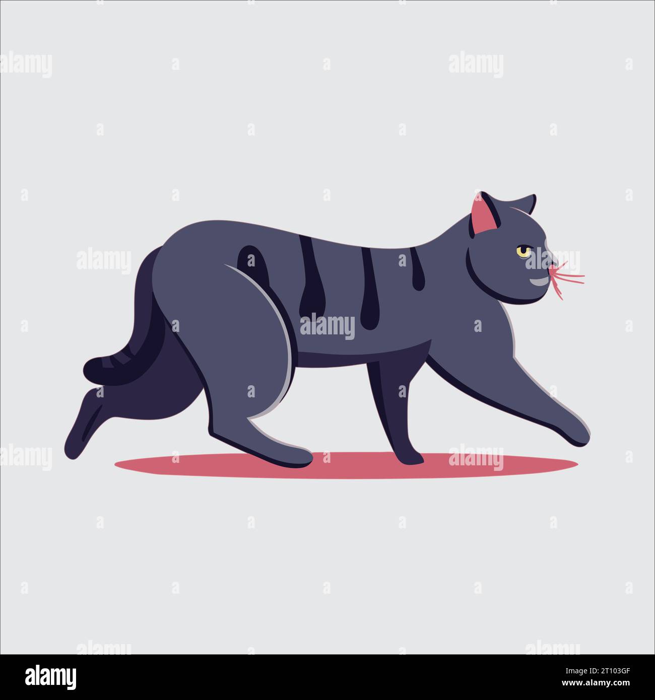 Animated Moving Cats