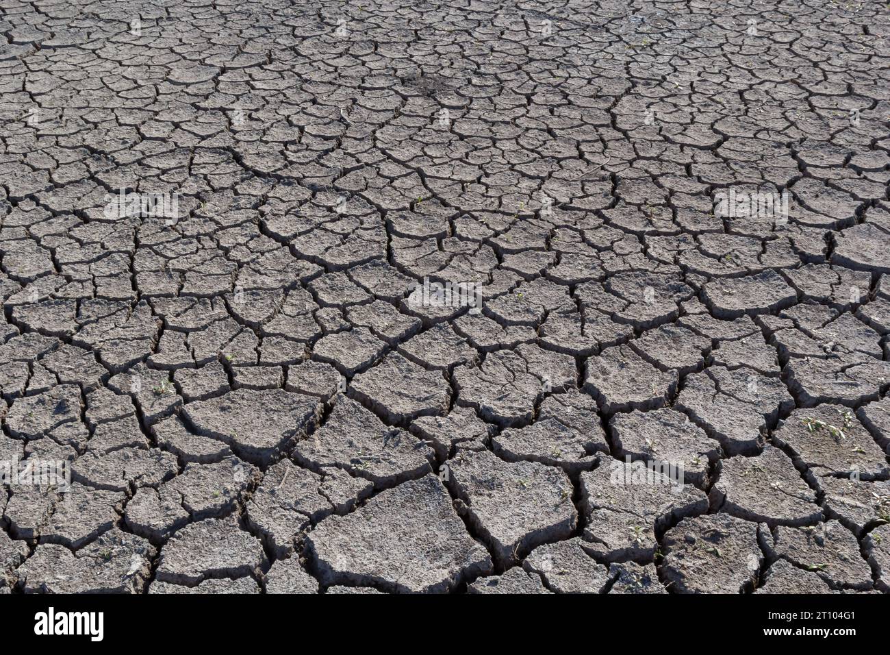 dry land in the dry season Drought, ground cracks, no hot water. Lack ...