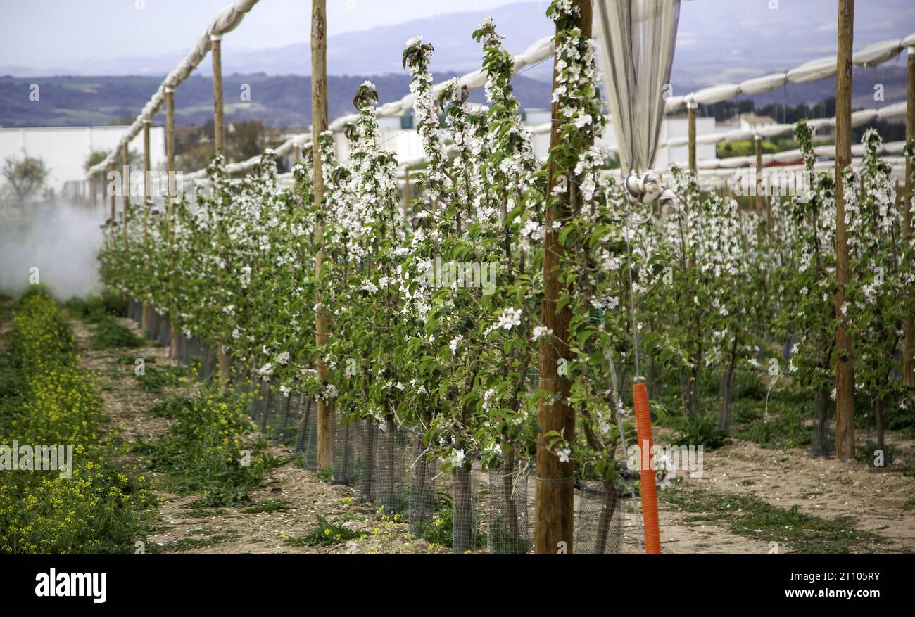 Detail of ecological and sustainable cultivation, environment Stock ...