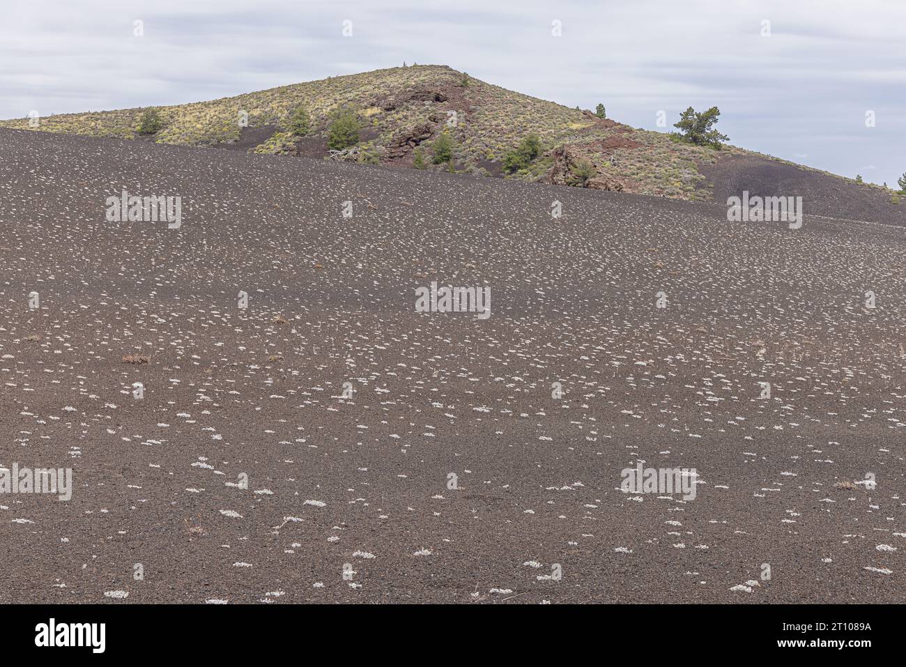 A cinder cone with lichen in the Craters of the Moon National Monument ...