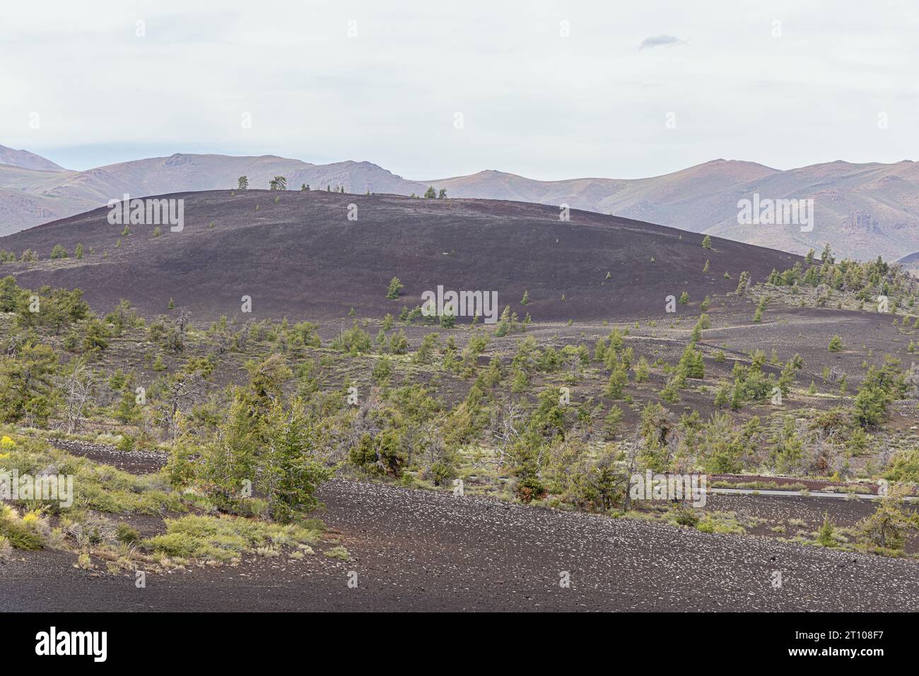Cinder cone and speckles of lichen during the ascension of Inferno Cone ...
