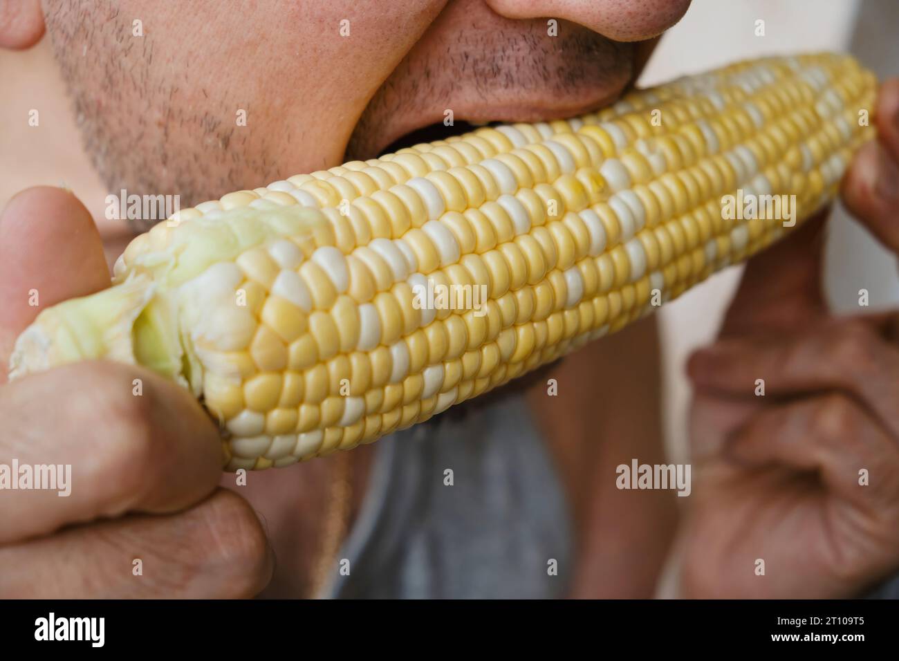 A man bites a cob of corn, close-up of an unrecognizable man Stock ...