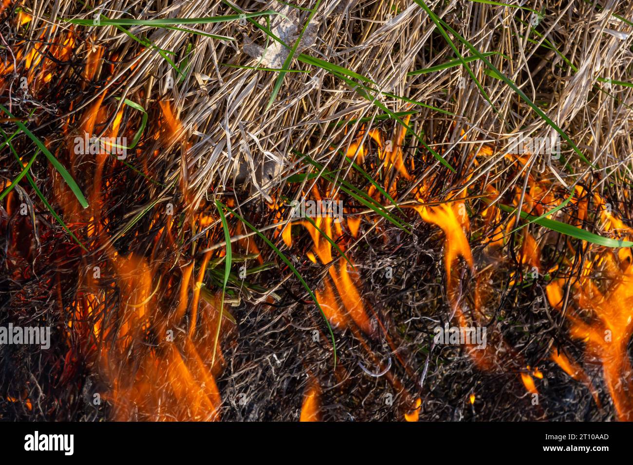 Flame smoke burning destruction hi-res stock photography and images - Alamy