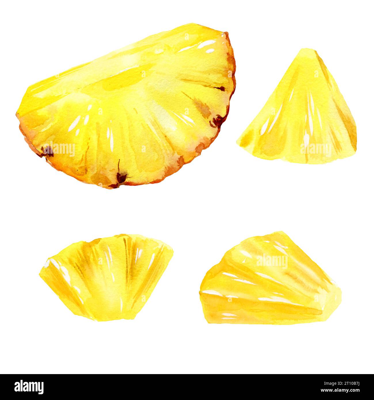 watercolor hand drawn illustration of pineapples slices, ripe triangular pieces of pineapple ...
