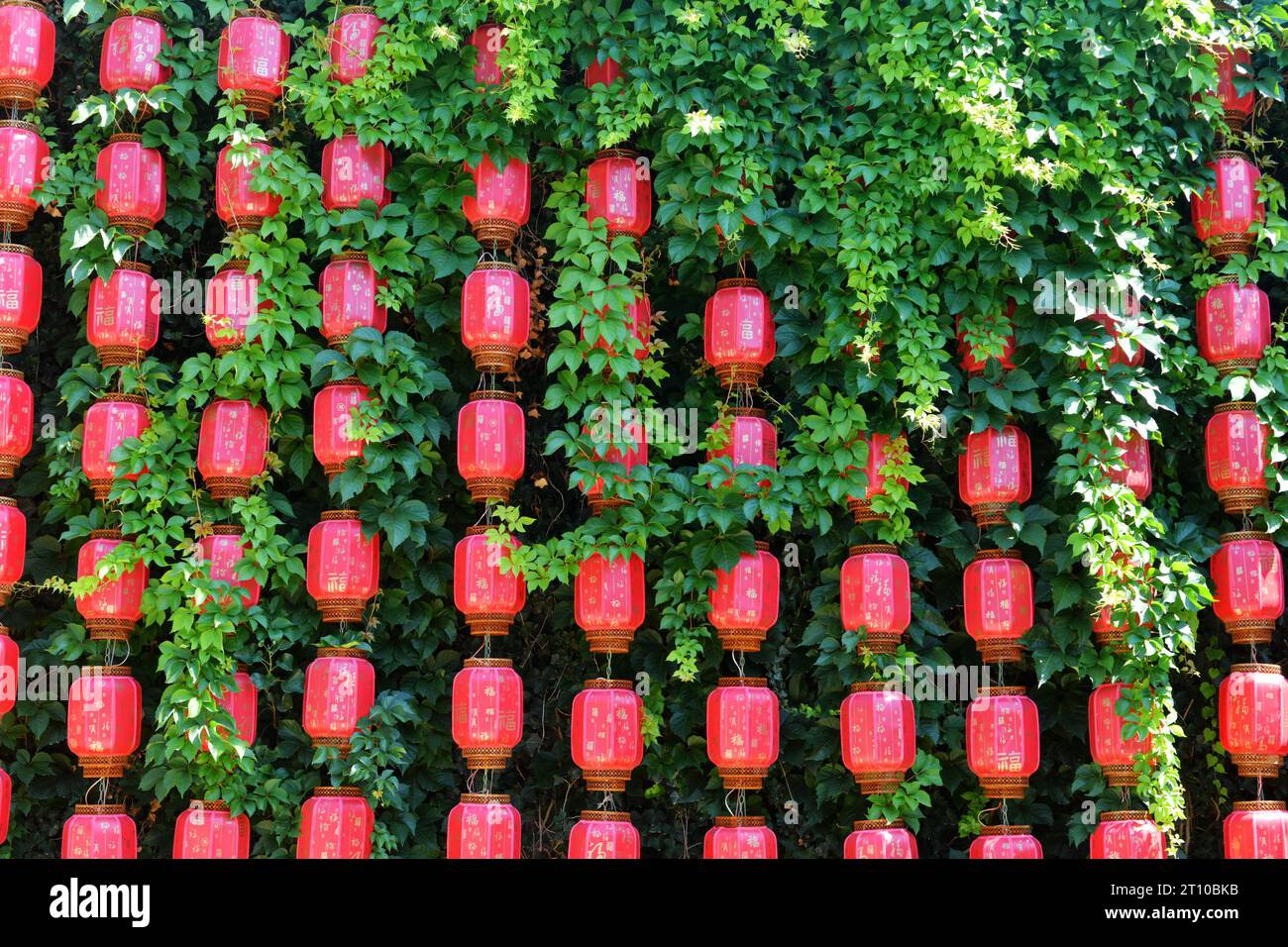 Photo of a traditional Chinese style red lantern. The Chinese word "Fu ...