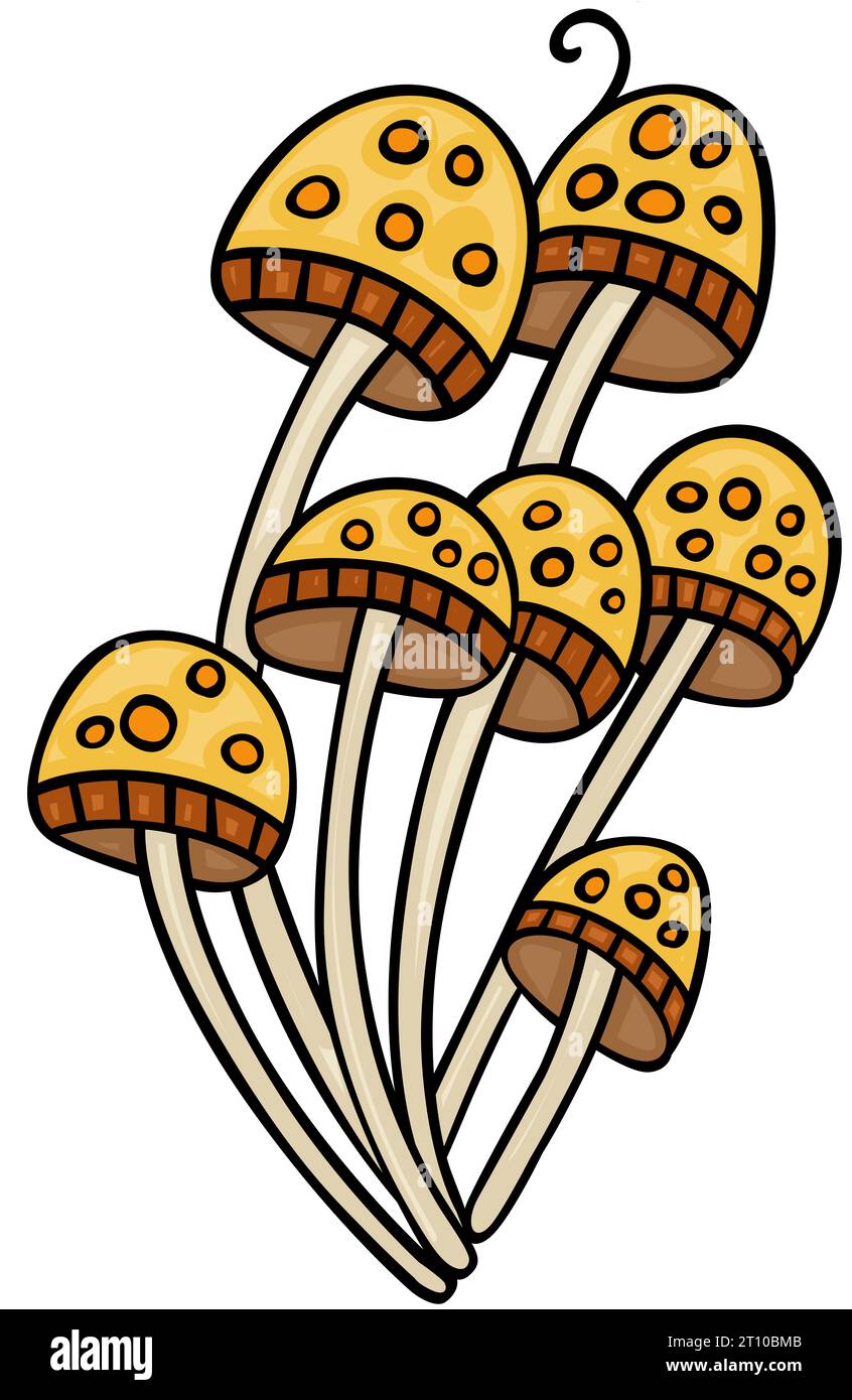 Hand drawn cartoon doodle of growing mushrooms Stock Photo - Alamy