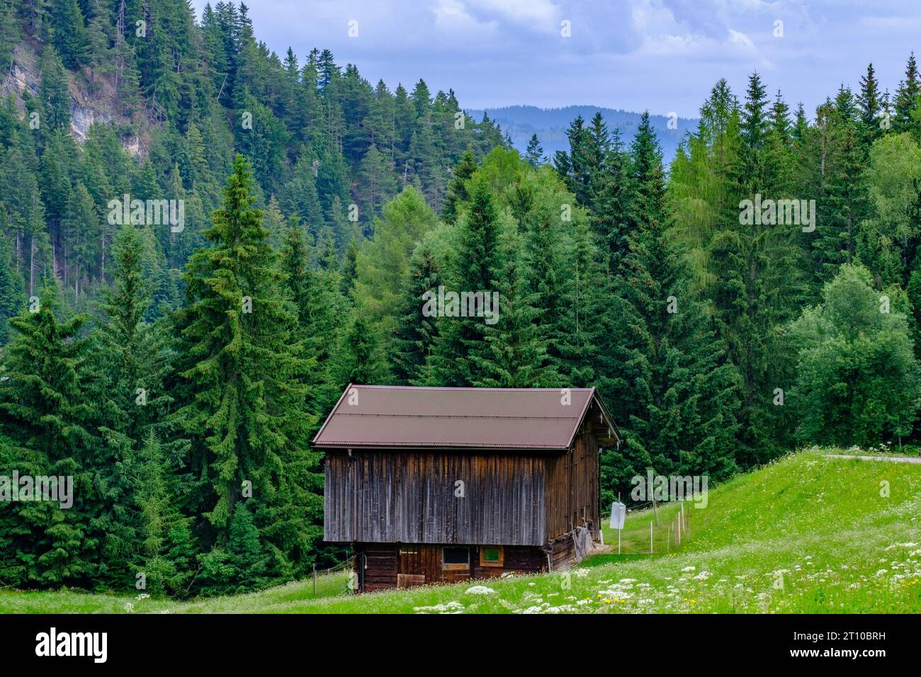 Wooden mountain hut surrounded by sloping green fields and forest of ...