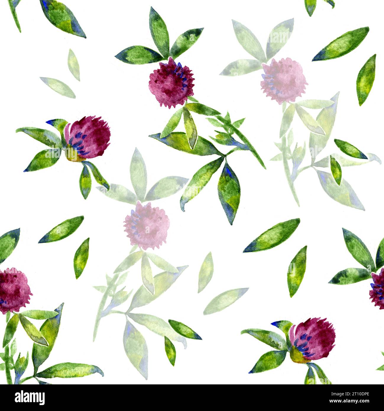 Watercolor Trifolium clover flower texture seamlees pattern Stock Photo ...