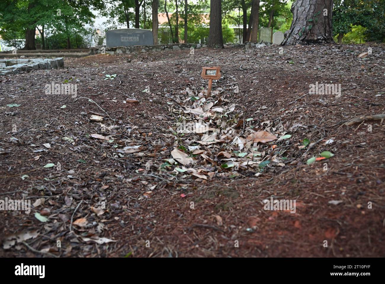 Sunken ground filled with leaves indicate an unmarked grave in the once ...