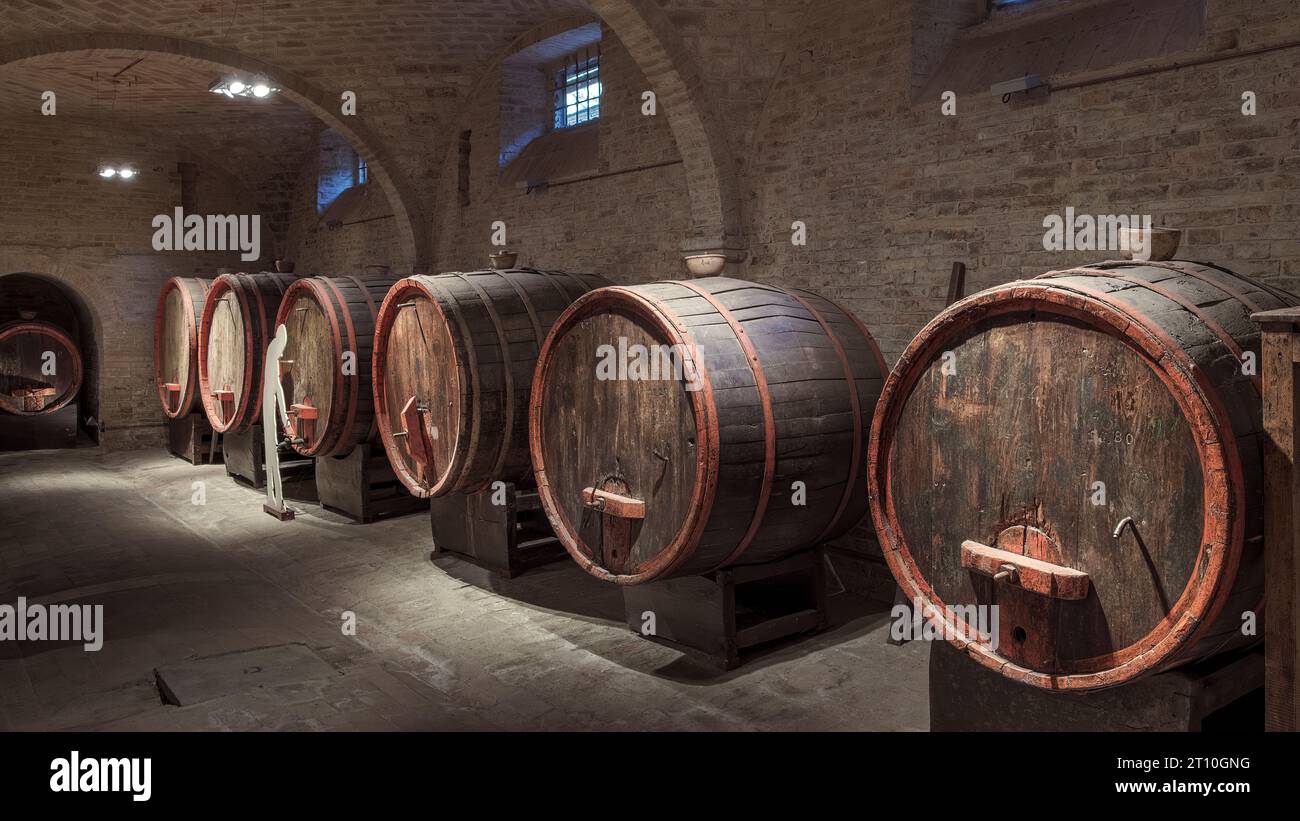 Wine barrels in a historic cellar in central Italy Stock Photo - Alamy