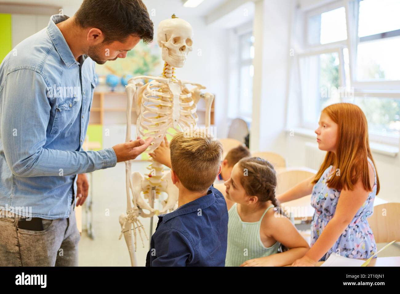 Male teacher explaining human skeleton to elementary students in ...