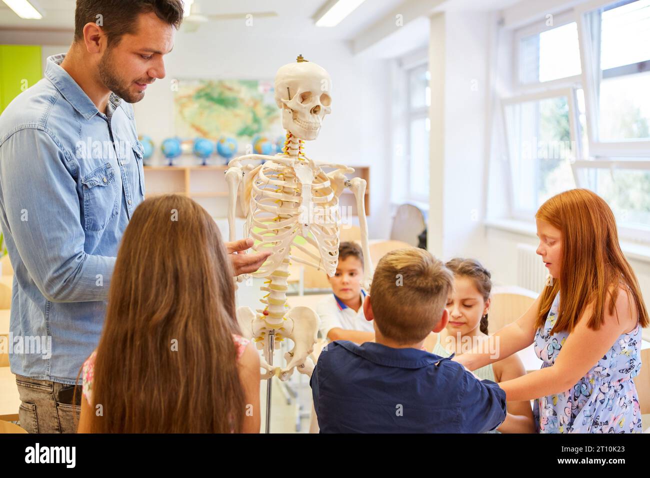 Teacher explaining human skeleton to kids in classroom at school Stock ...