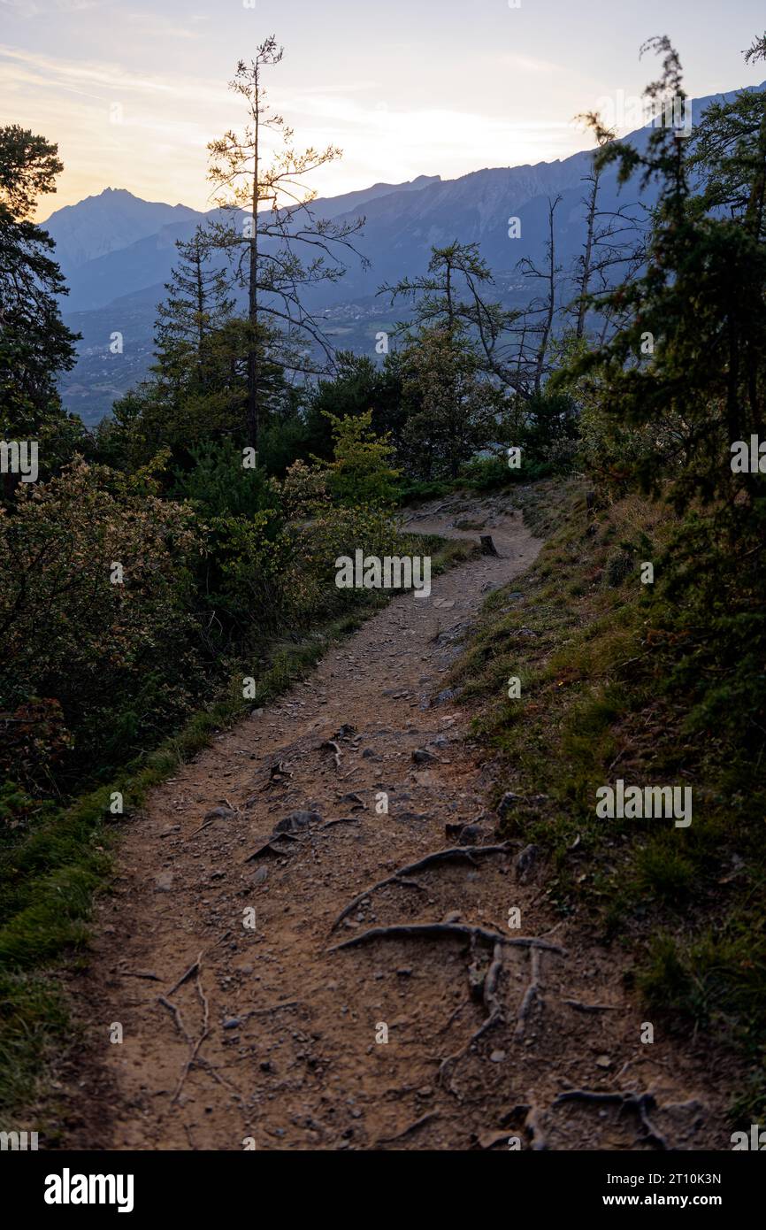 A vertical shot of a scenic pathway through a lush green landscape in ...