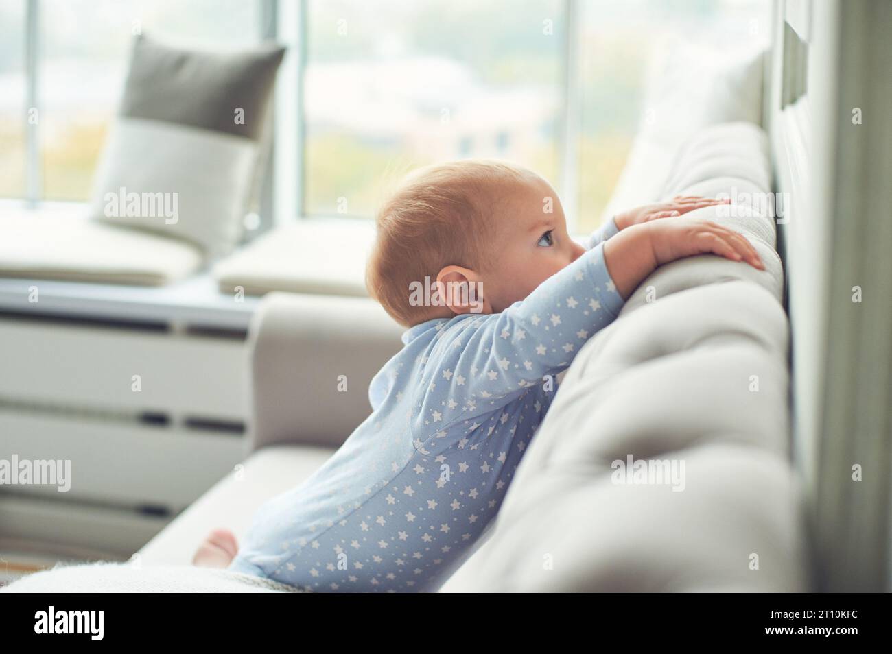 8 months baby boy crawling and climbing on sofa at home Stock Photo - Alamy