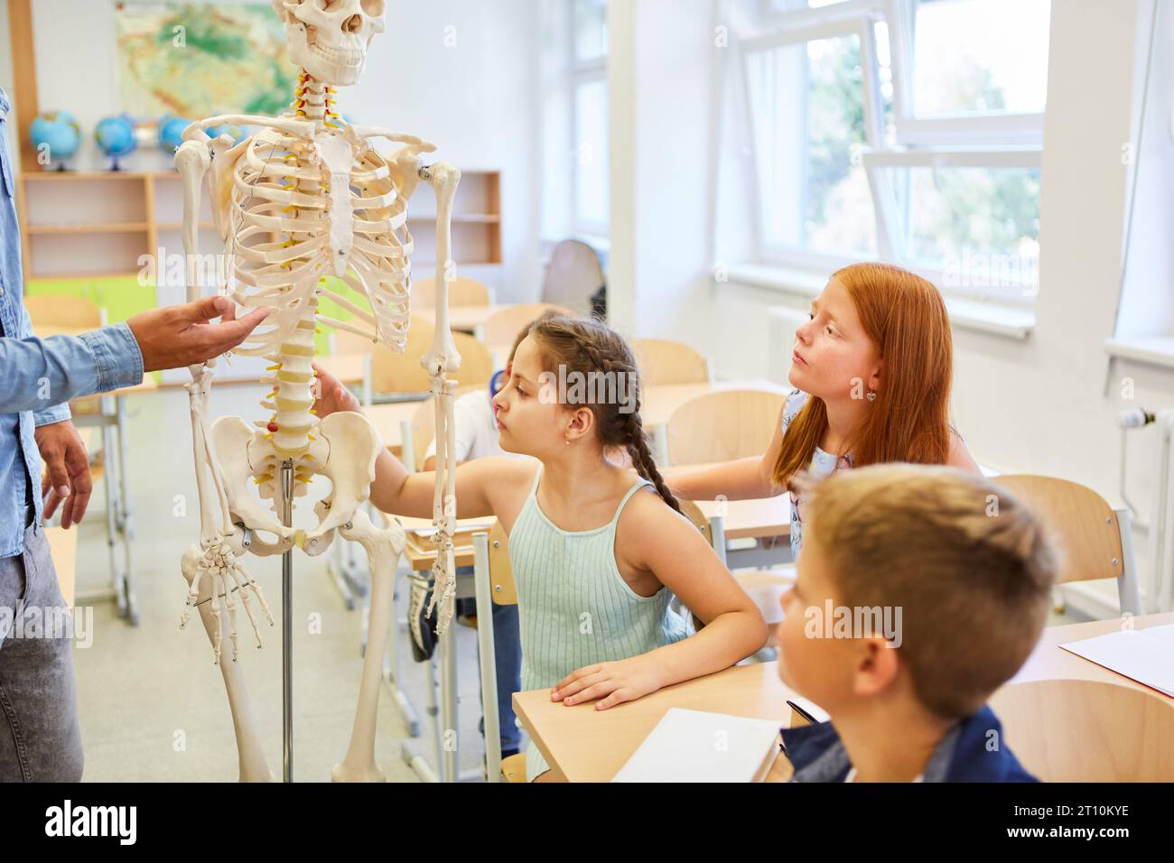 Curious male and female students looking at human skeleton while ...