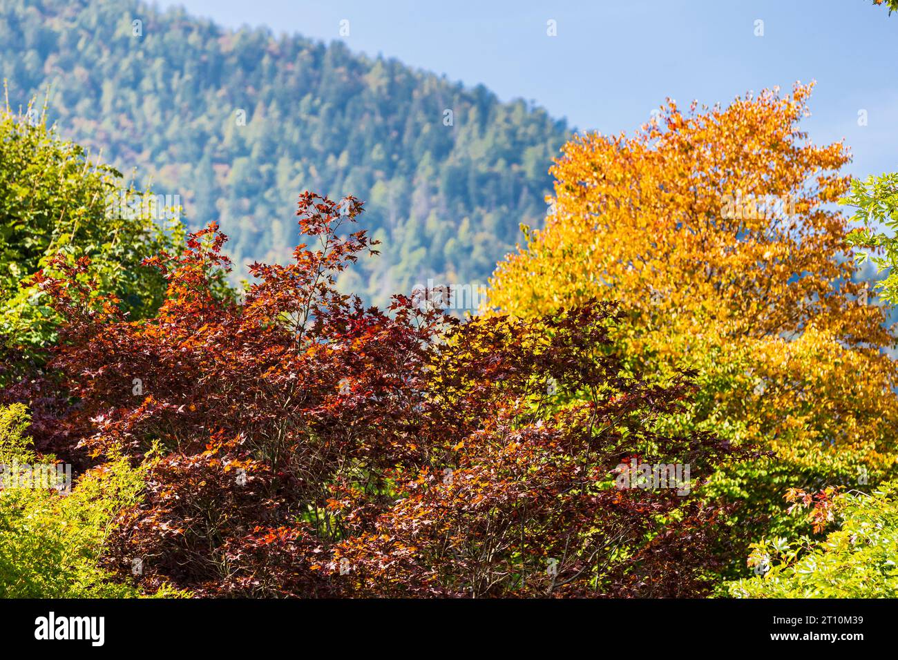 Tesino valsugana hi-res stock photography and images - Alamy